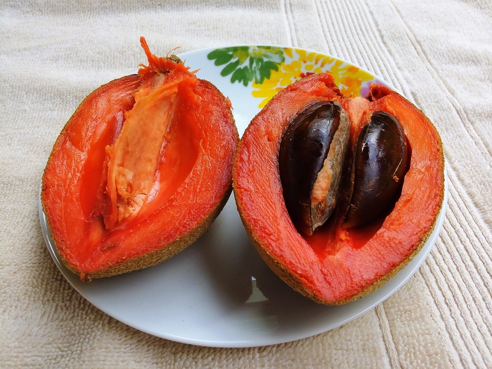 Mamey sapota – fructul exotic rar întâlnit, dar cu beneficii imense ...