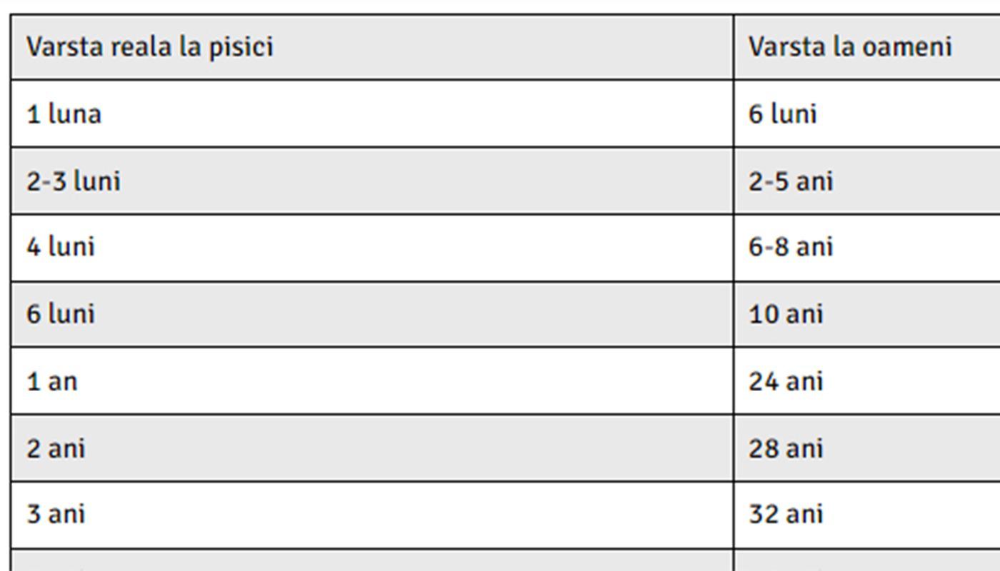 Tabelul vârstei reale a pisicilor | Câți ani ar avea pisica ta, dacă ar ...