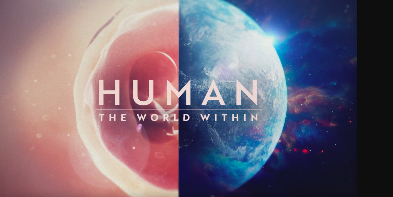 ”Human: The World Within” (NETFLIX), documentarul despre această ...