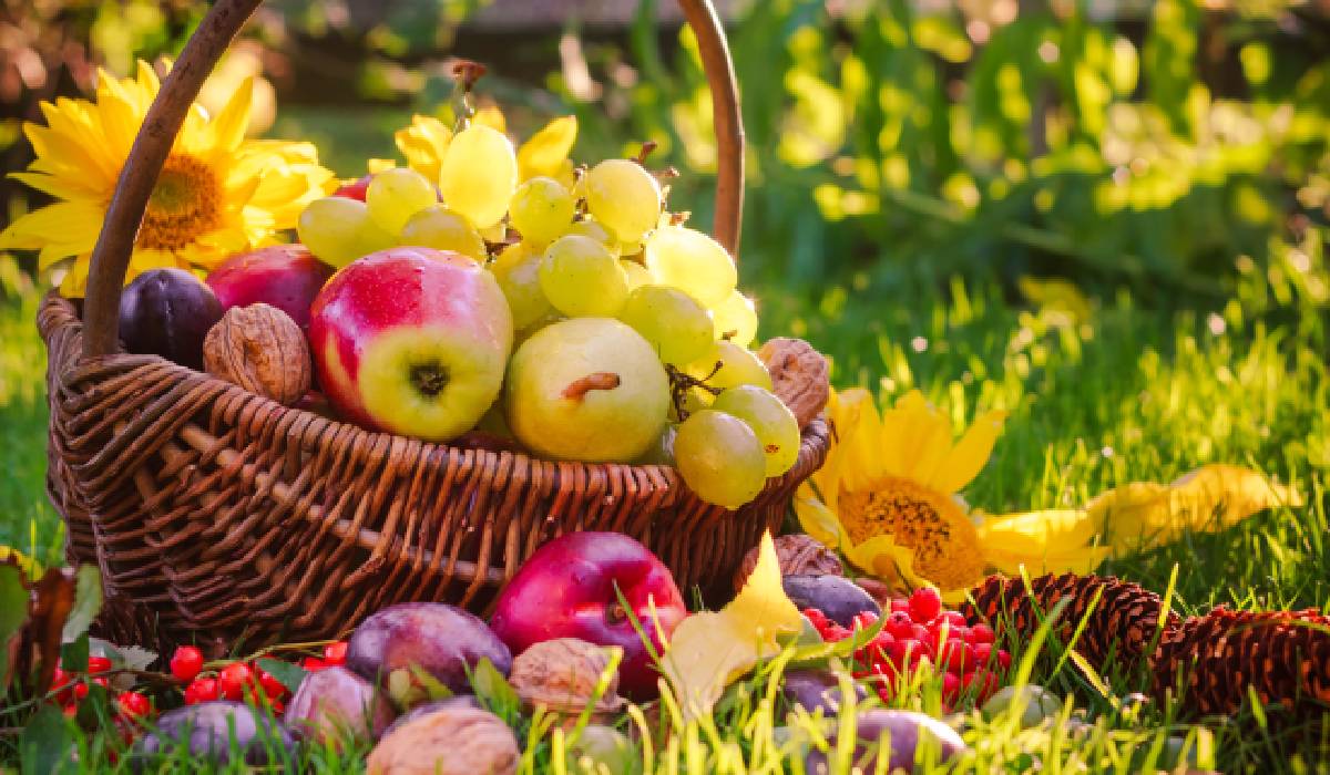 Fructele și legumele de toamnă bogate în vitamine, minerale și antioxidanți
