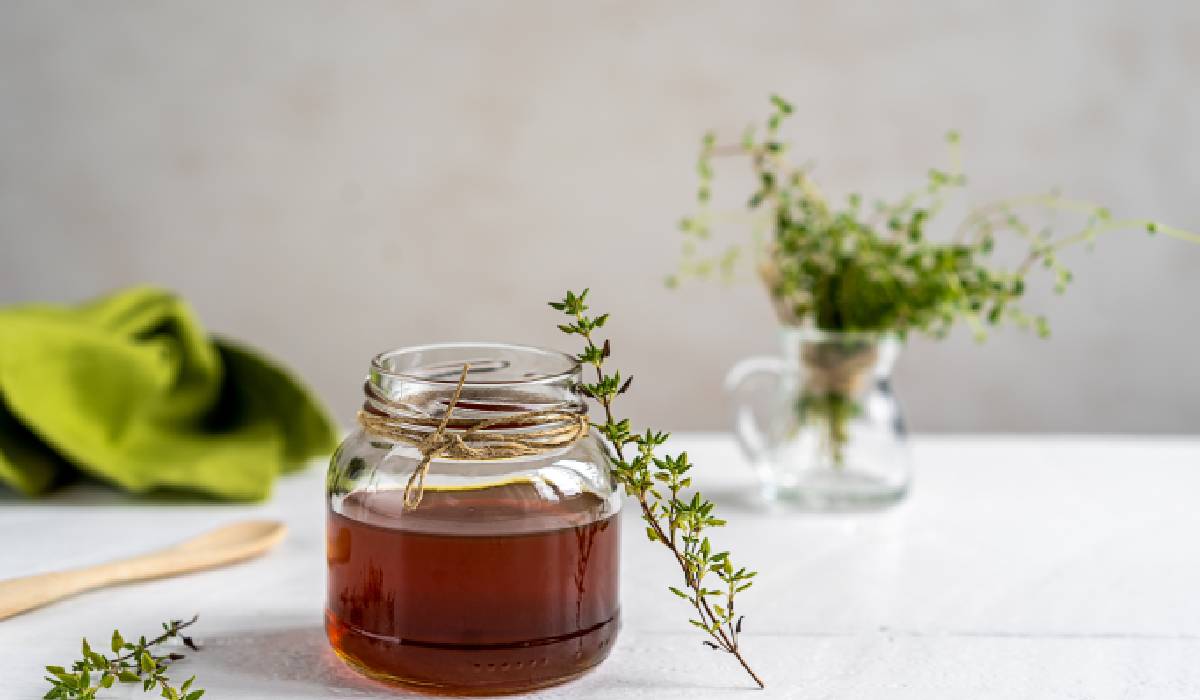 Cimbrul: remediul natural care tratează afecțiunile la plămâni