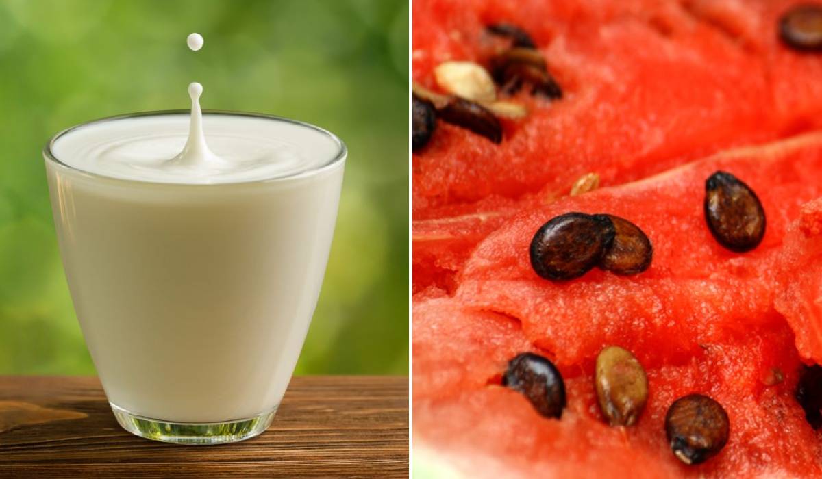 Inovație sănătoasă: Laptele din semințe de pepene roșu – 50 de calorii ...