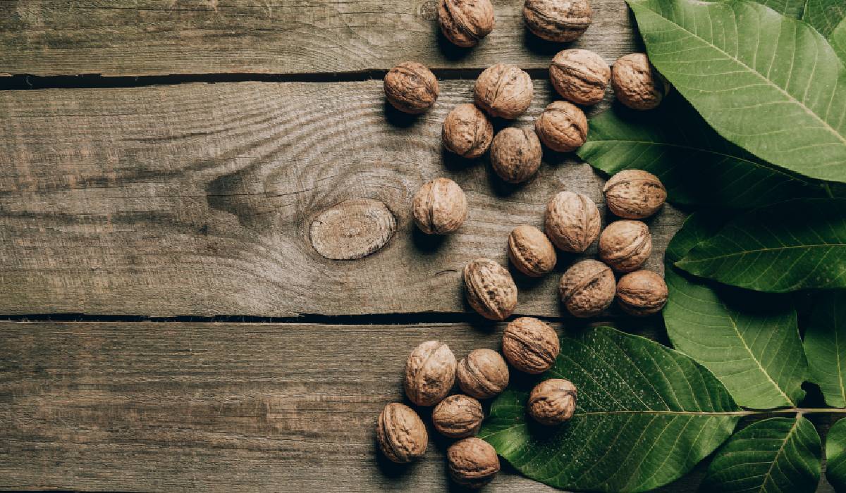 Nuci fierte cu foi de dafin: ce efecte uimitoare au. Puțină lume știe