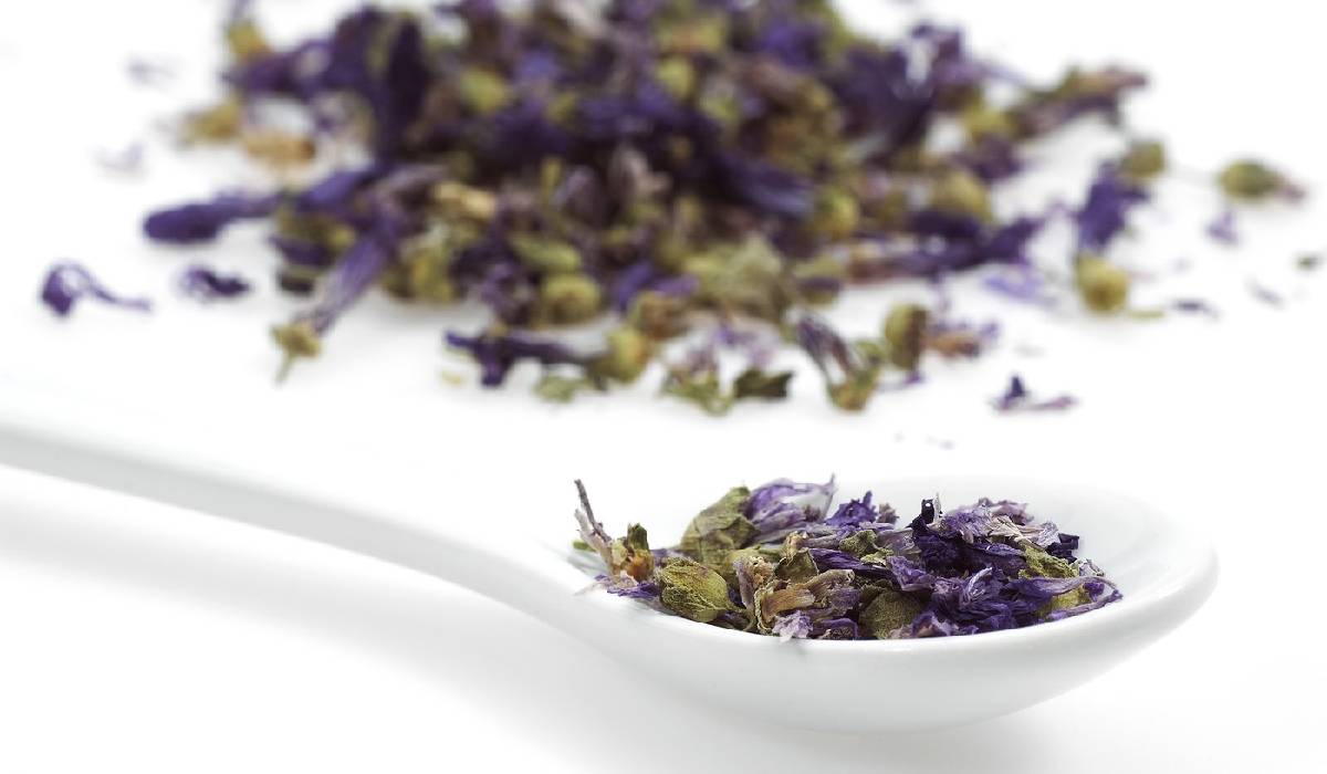 Planta care tratează durerea în gât și tusea uscată. Cum se prepară ...