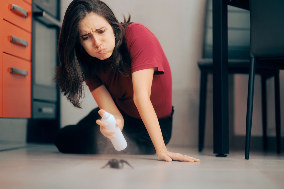 Spray-ul NATURAL pentru a scăpa definitiv de ploșnițe. Se prepară rapid ...