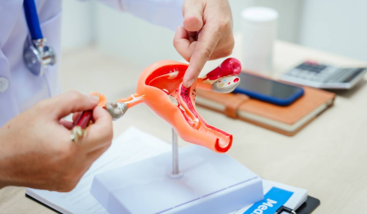 (P) Endometrul: ce este, funcții, afecțiuni și recomandări de sănătate